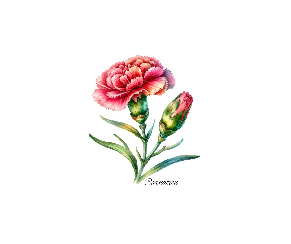 Carnation Birth Flower Wall Art, Family Birth Flower, January Birth ...