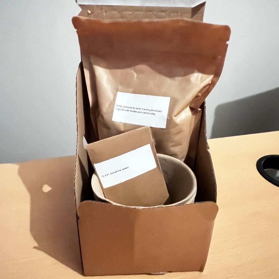 Large F1 Quickfire Chilli Plant Grow Kit 10 Seeds Easy Grow - Etsy UK