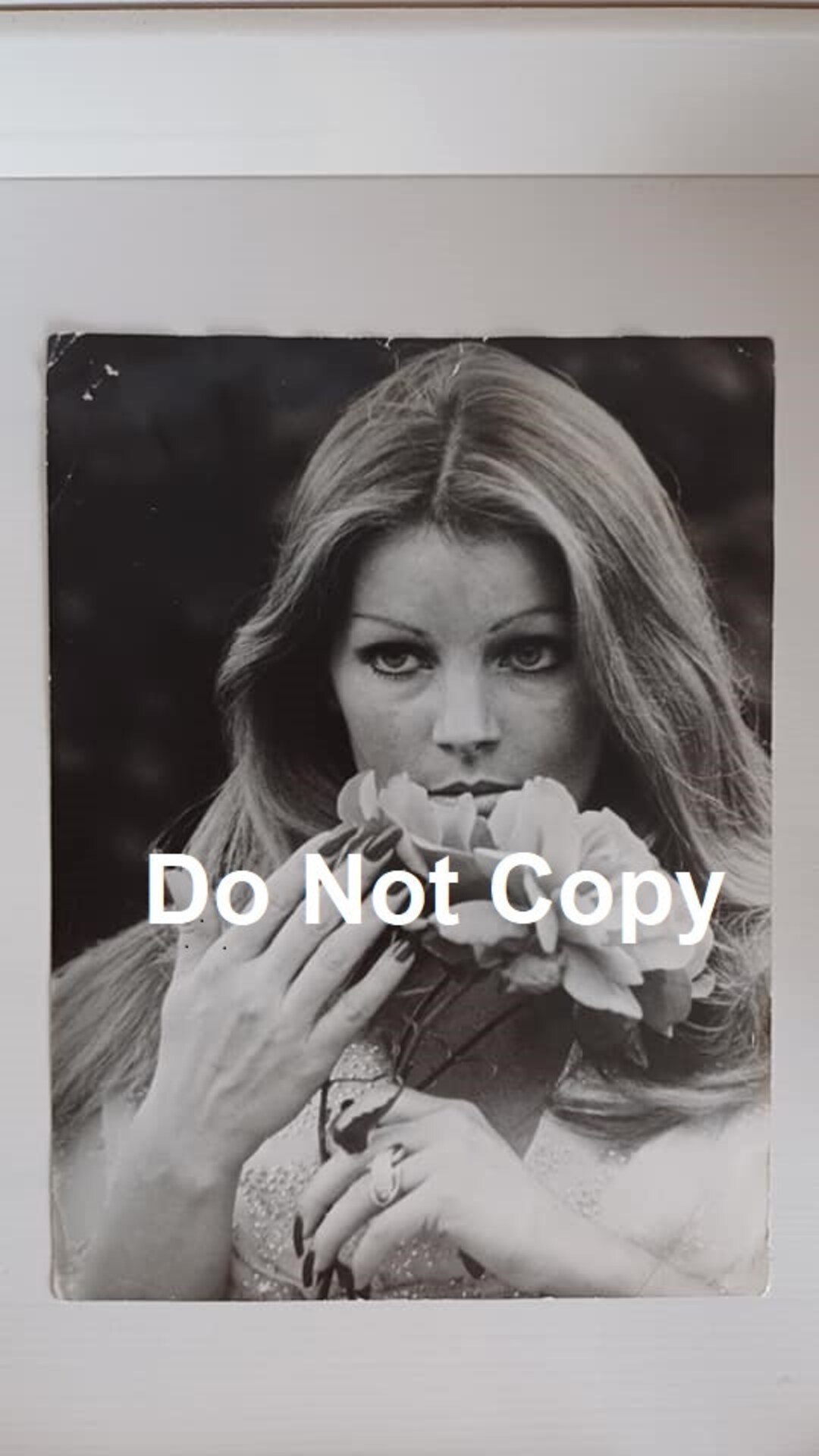 Priscilla Presley Press Photo 1974 - Etsy