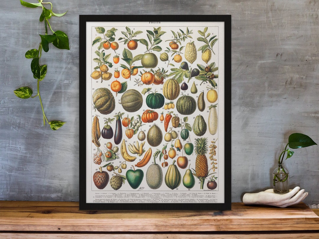 Old Fashioned Fruit Poster, Fruit Poster, Food Poster, Vintage Poster ...