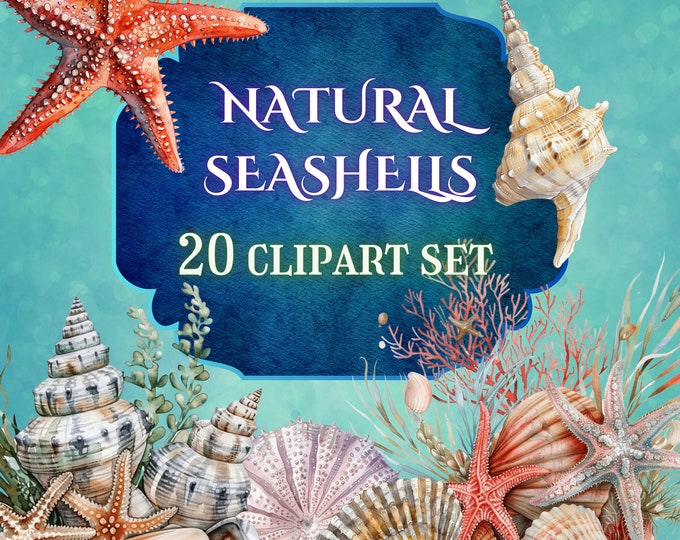 Blue Seashells Clip Art, Watercolor Ocean Shells, Stars & Corals ...