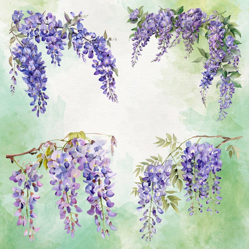 Watercolor Wisteria Clipart Set // Watercolor Wisteria Borders and ...