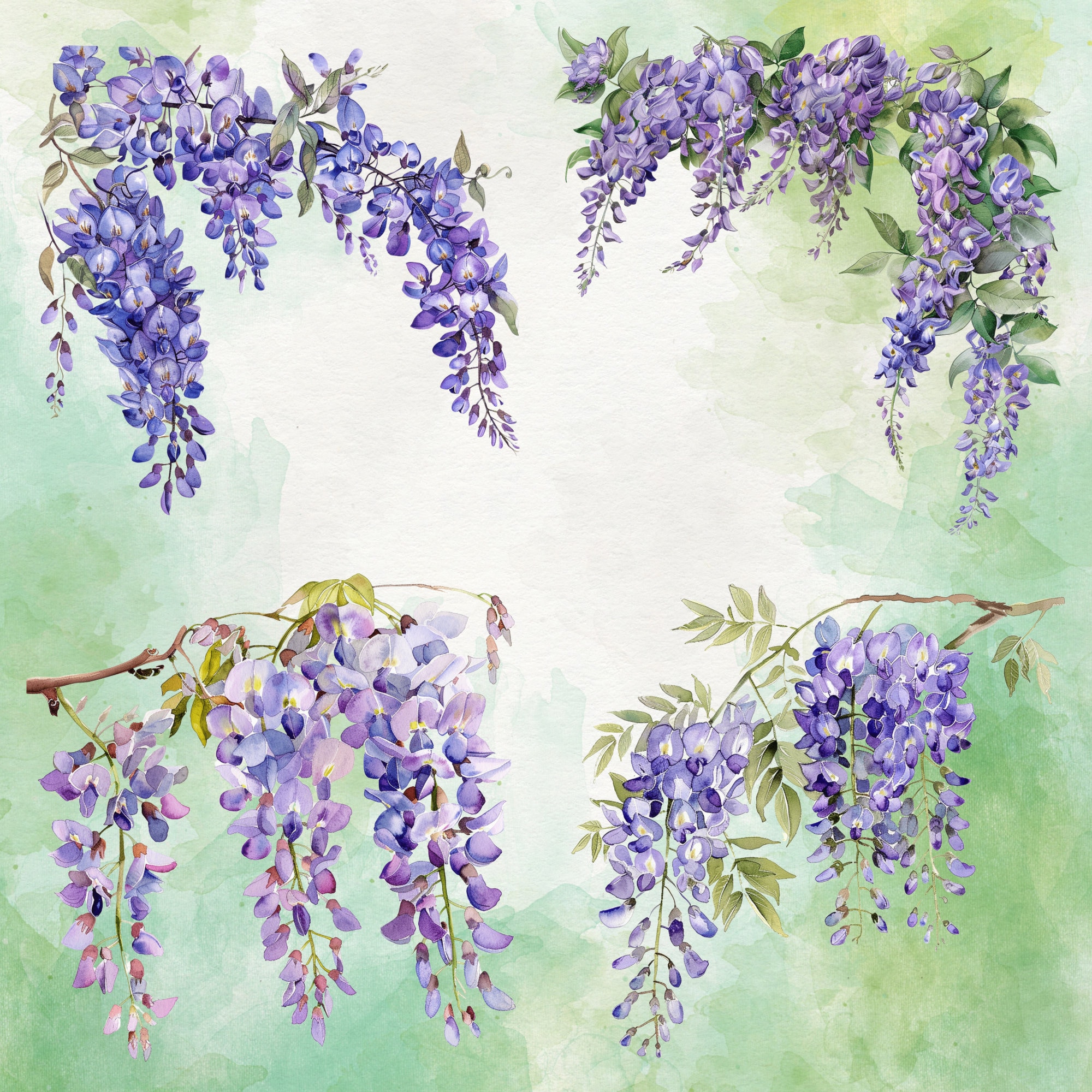 Watercolor Wisteria Clipart Set // Watercolor Wisteria Borders and ...