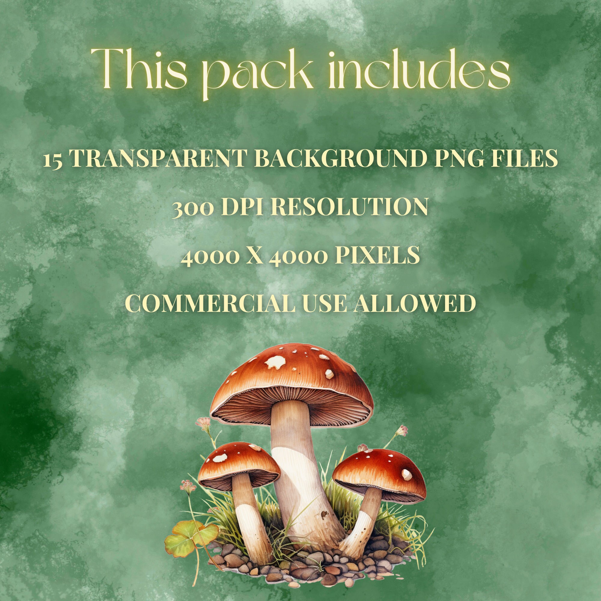 Watercolor Mushroom Clipart Set, Fantasy Woodland PNG Bundle (digital ...