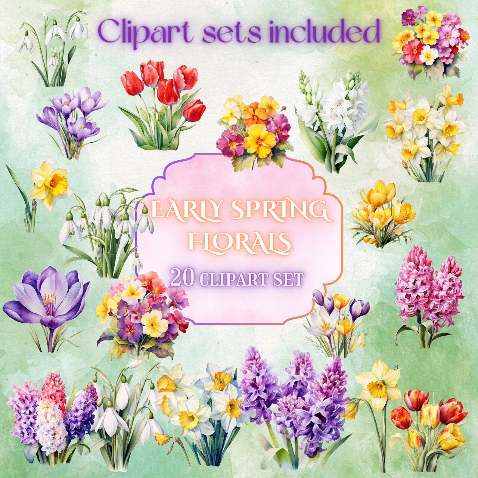 Spring Clipart and Texture Pack // Watercolor Floral Clipart Set ...