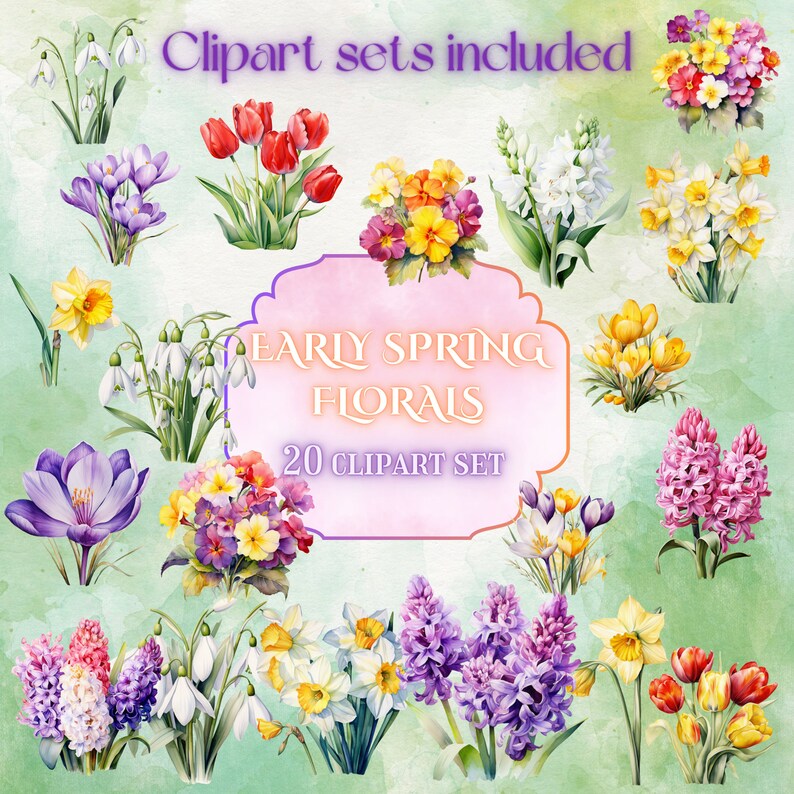 Spring Clipart and Texture Pack // Watercolor Floral Clipart Set ...