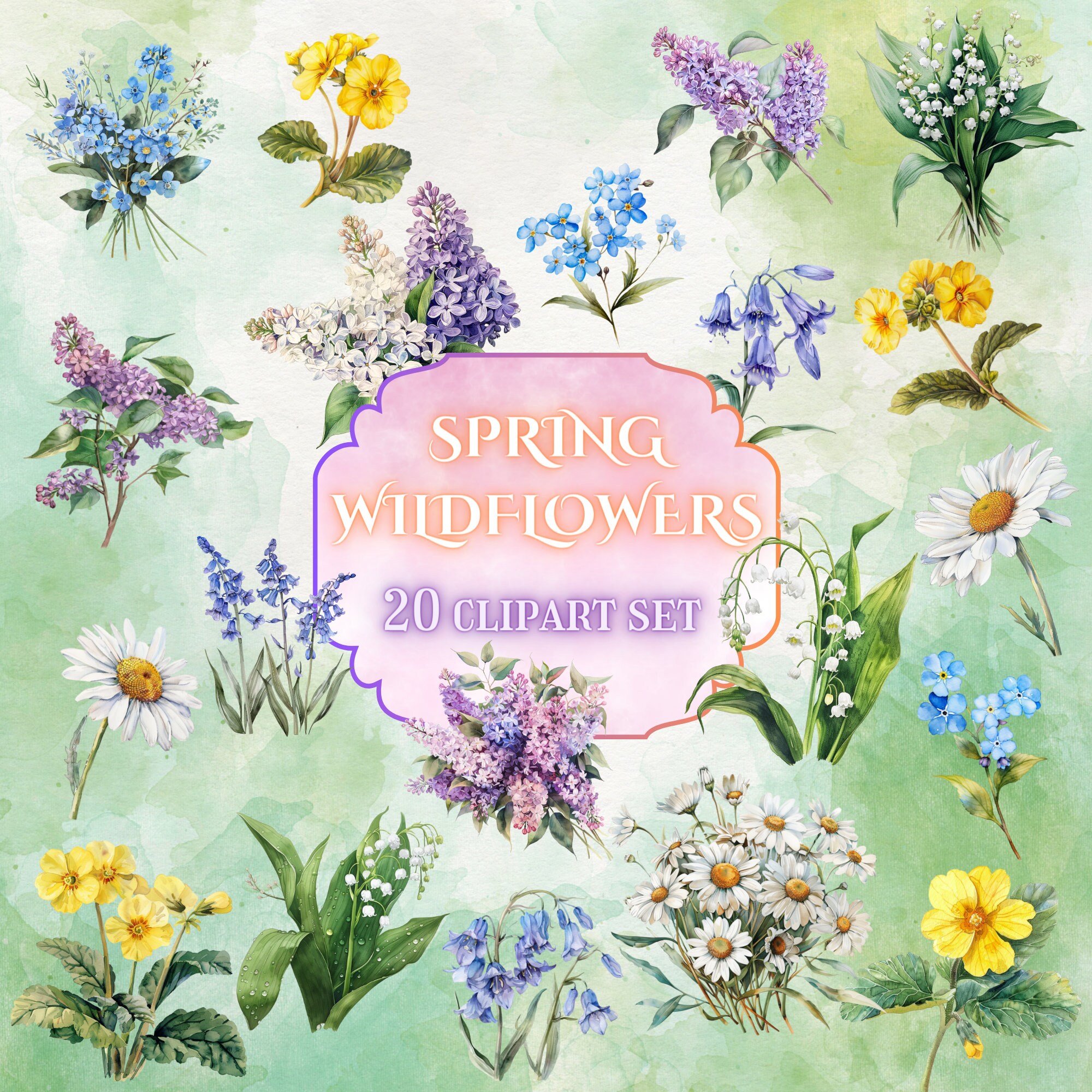 Spring Clipart and Texture Pack // Watercolor Floral Clipart Set ...