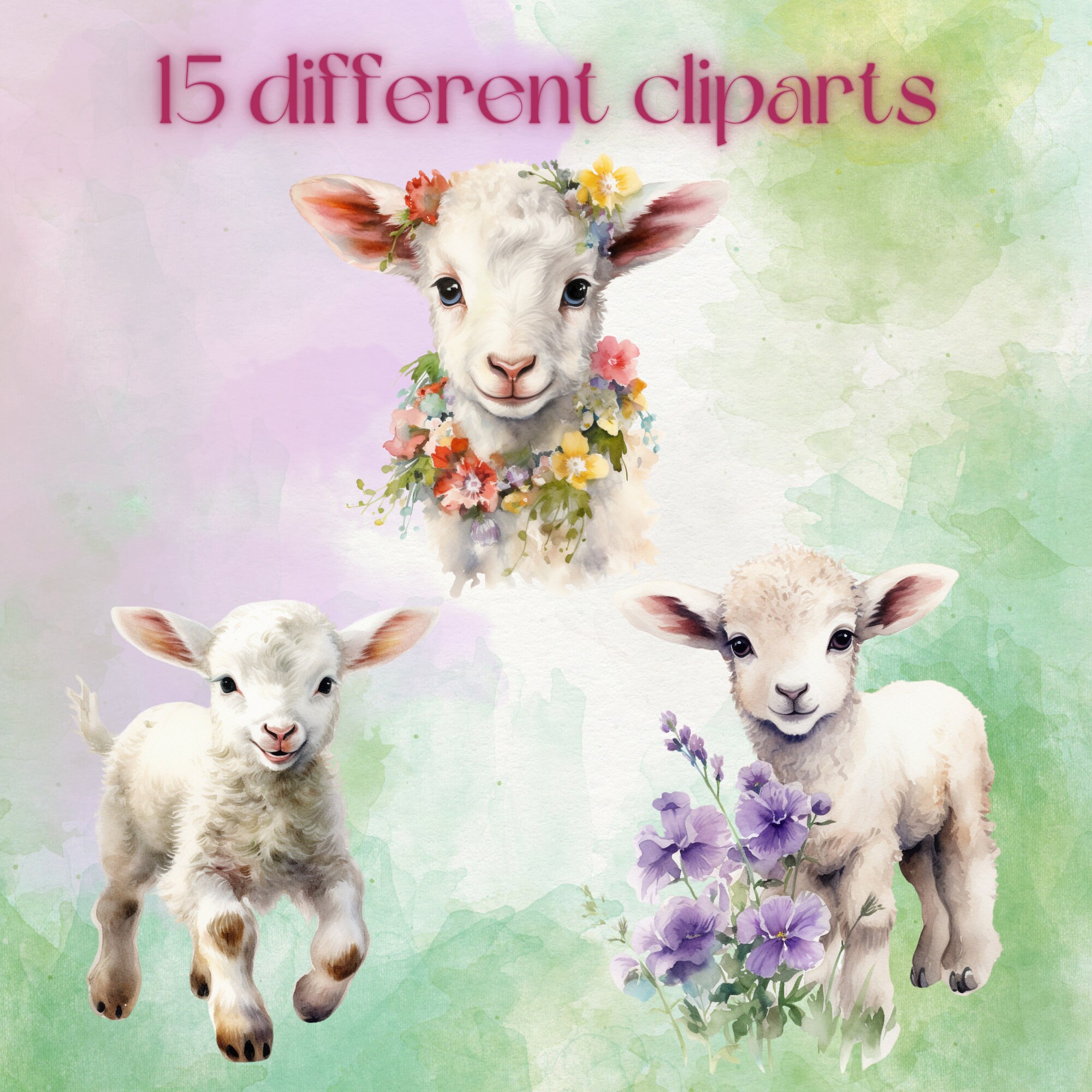 Watercolor Cute Lamb Clipart Set // Easter Lambs Clipart // Baby Sheep ...