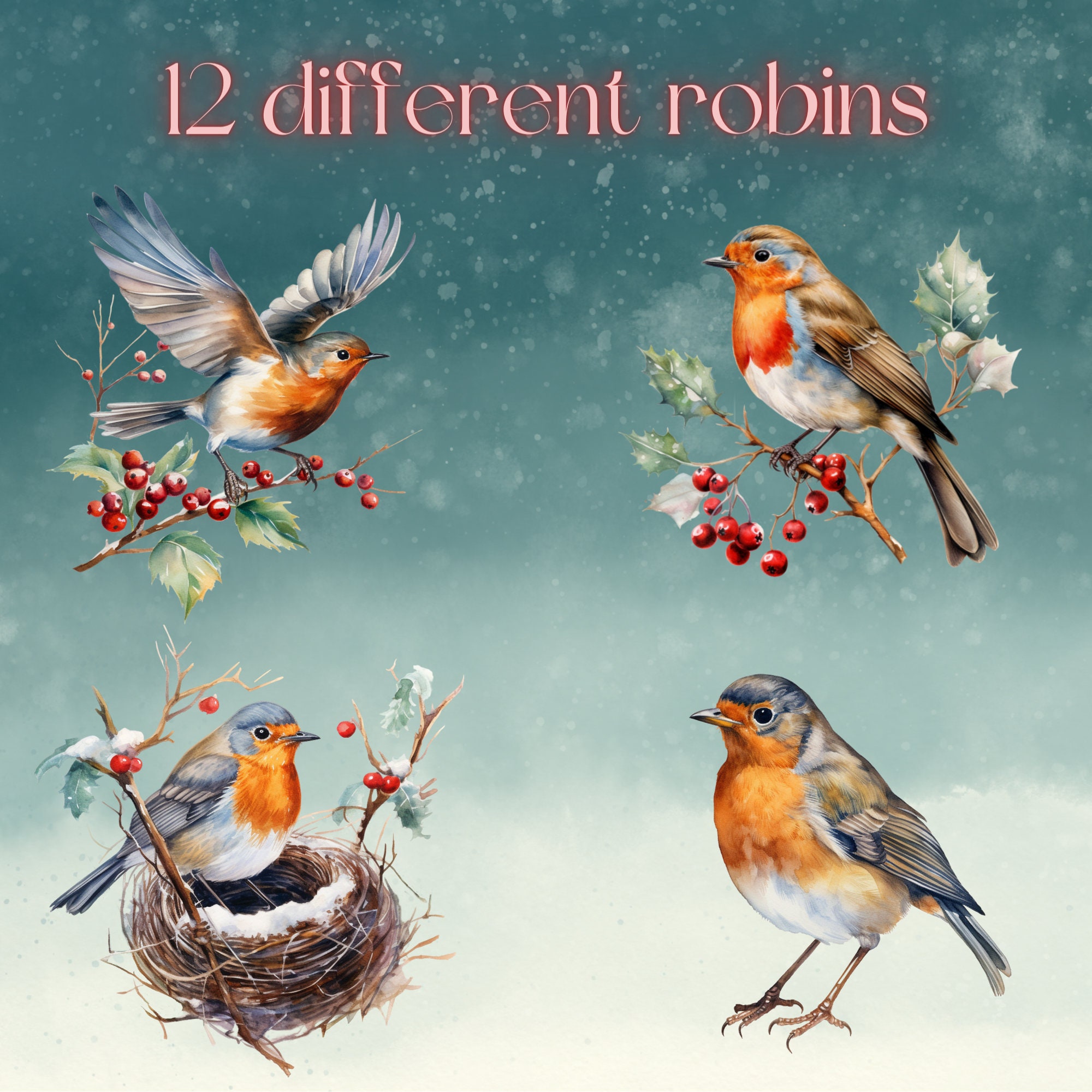 Christmas Robins Clipart Set // Seasonal Cliparts for Nature Lover ...