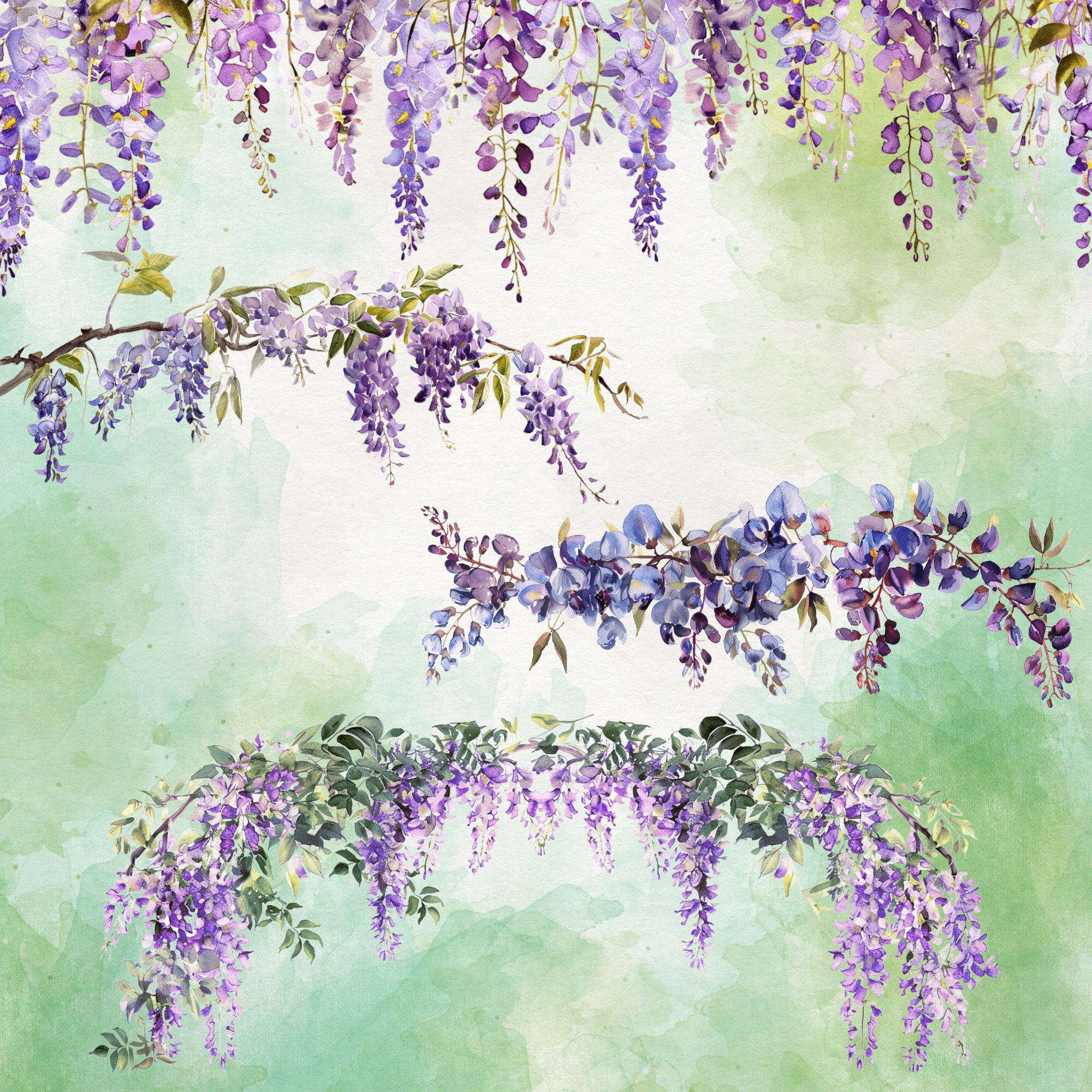 Watercolor Wisteria Clipart Set // Watercolor Wisteria Borders and ...