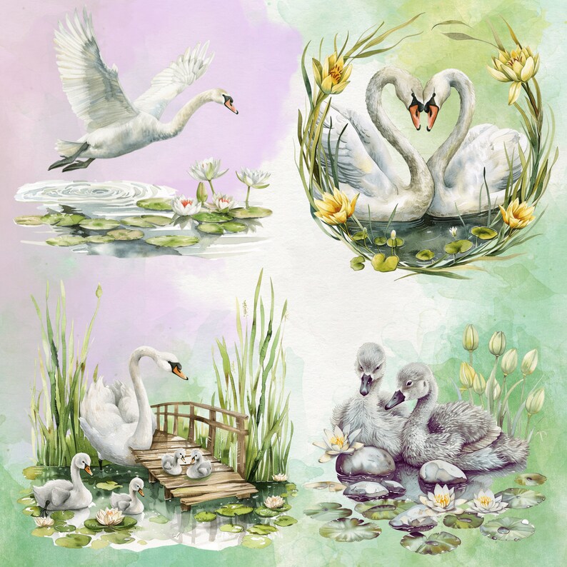Watercolor Swan Clipart Set // Cute Swan Digital Download // Printable ...