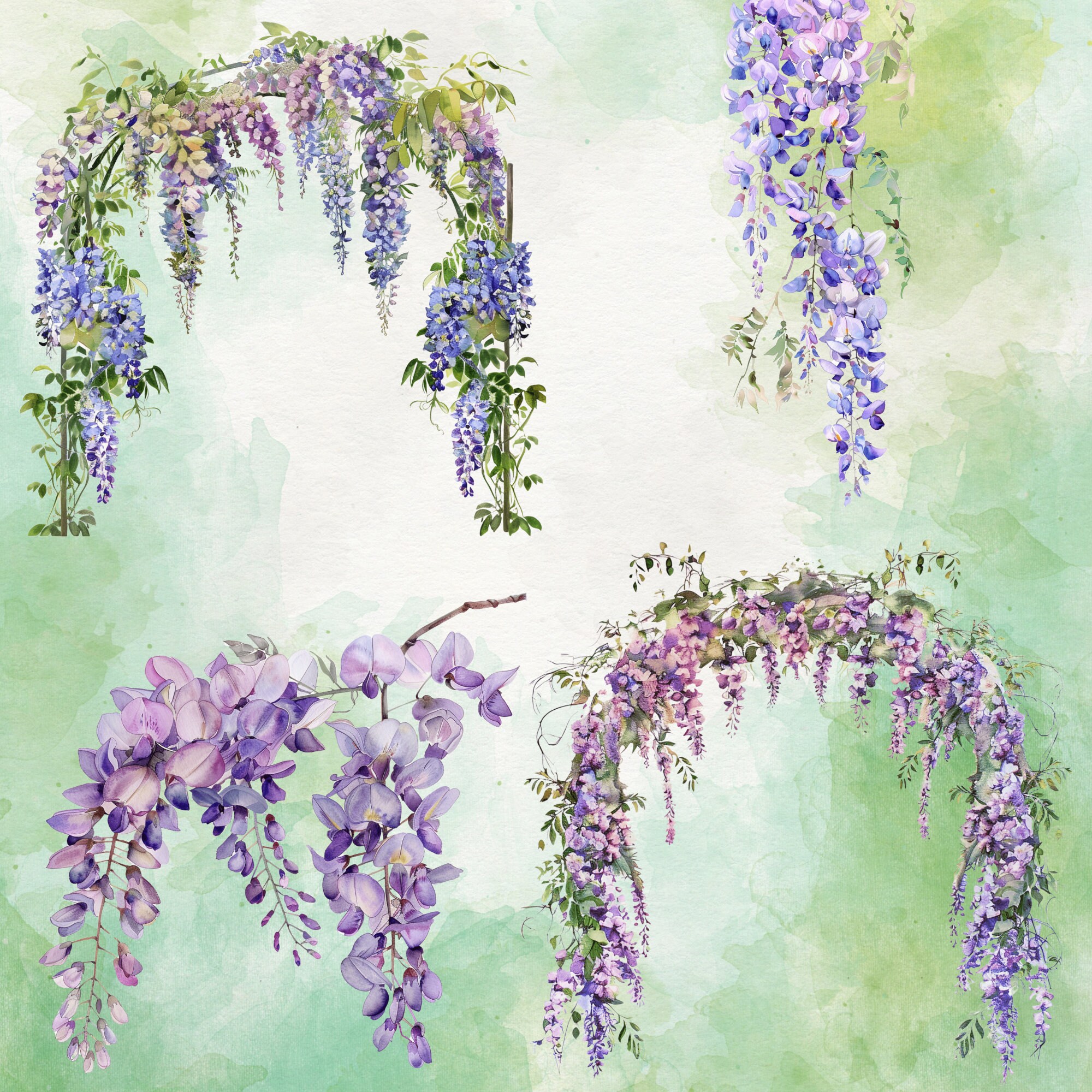 Watercolor Wisteria Clipart Set // Watercolor Wisteria Borders and ...