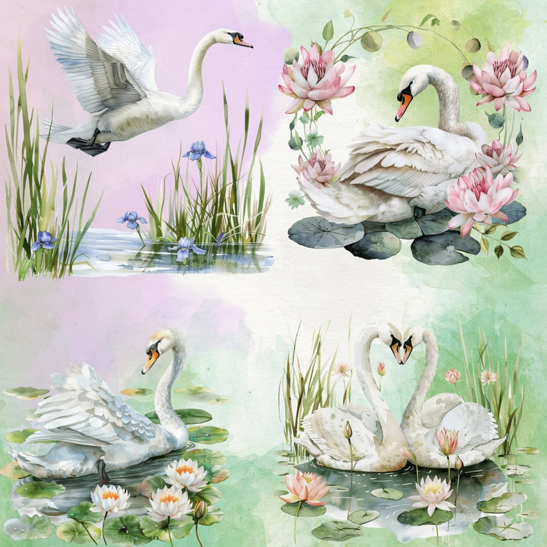 Watercolor Swan Clipart Set // Cute Swan Digital Download // Printable ...