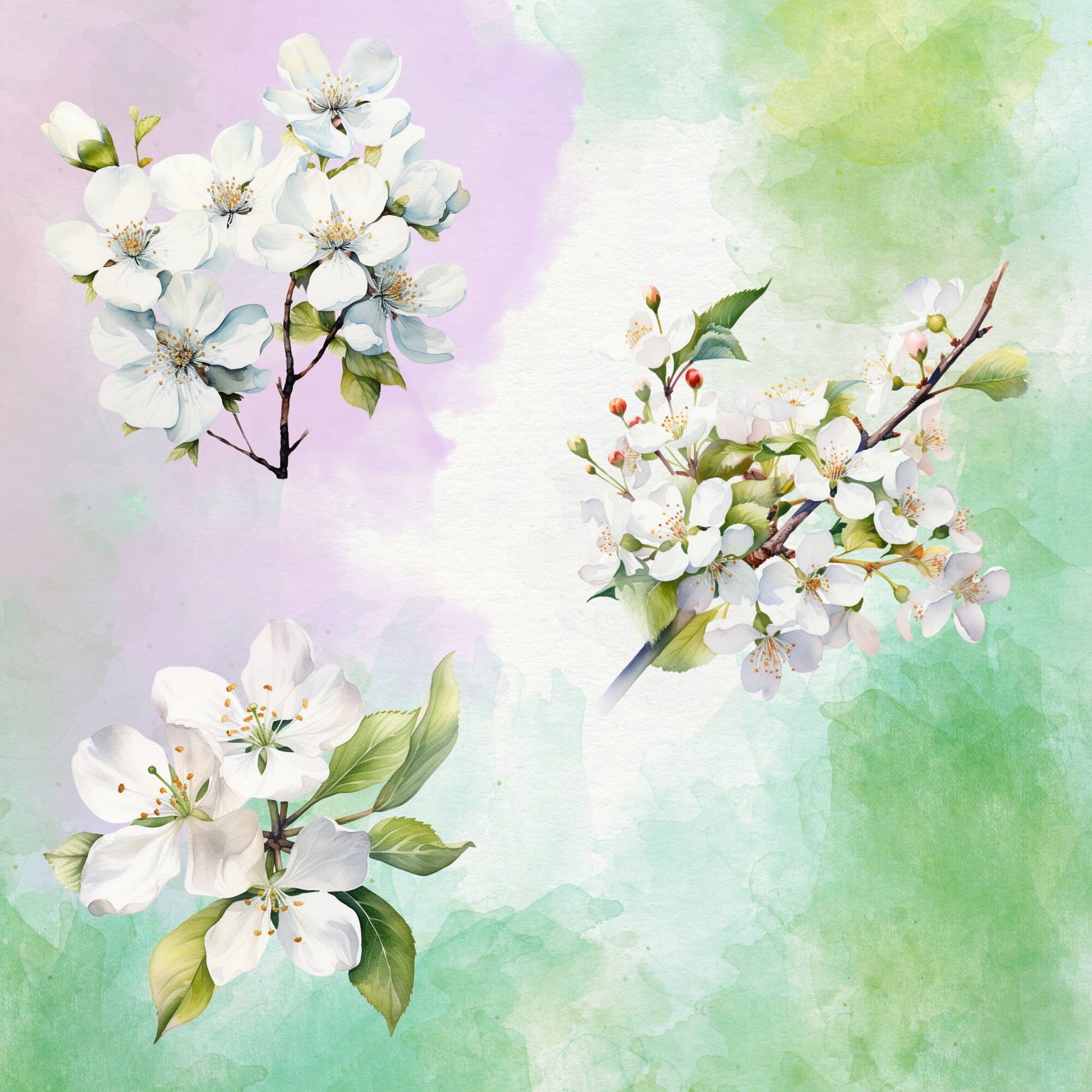Blooming Branches Spring Clipart // Spring Blossom Floral Clipart ...