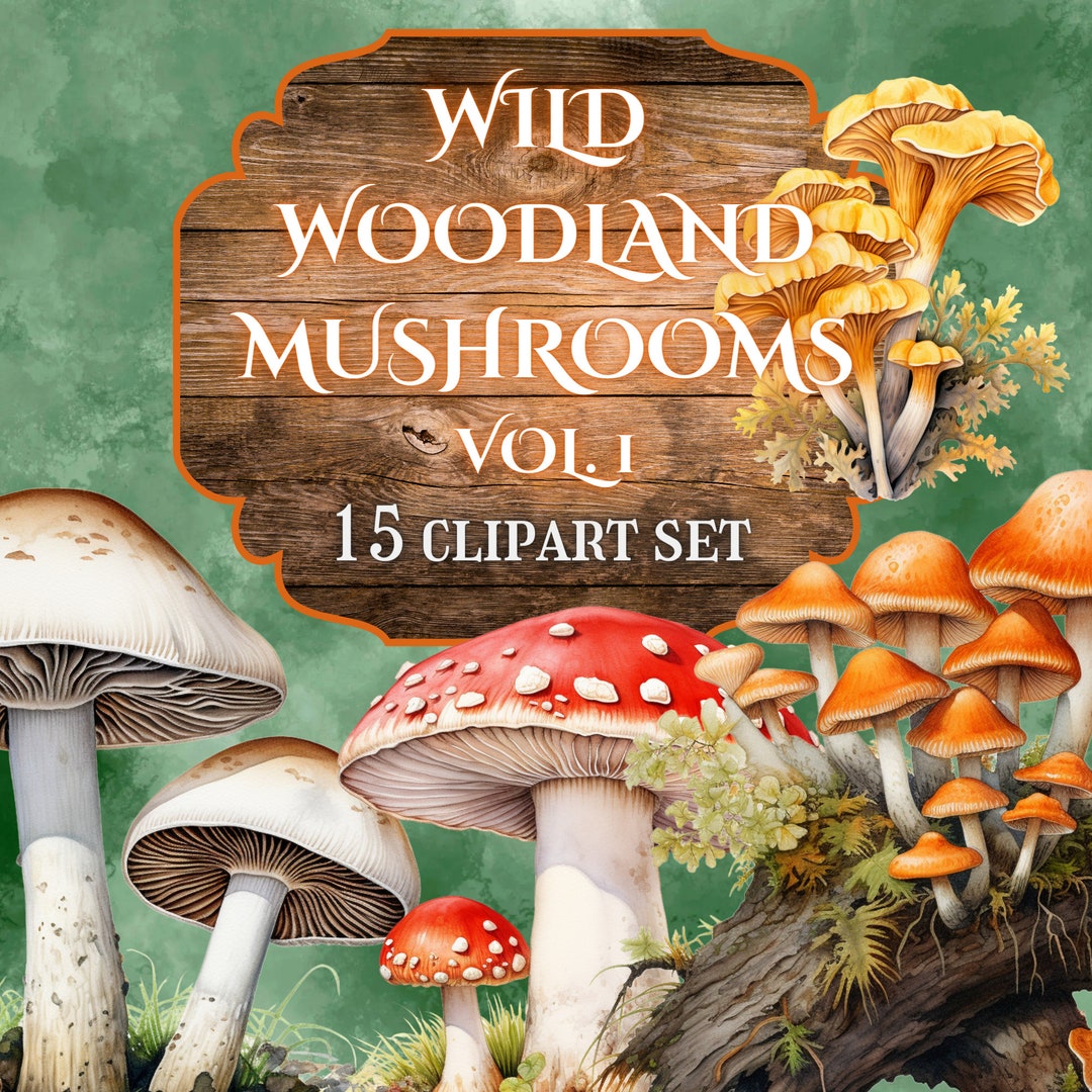 Woodland Mushroom Clipart Bundle // Commercial Use Mushroom Pngs ...