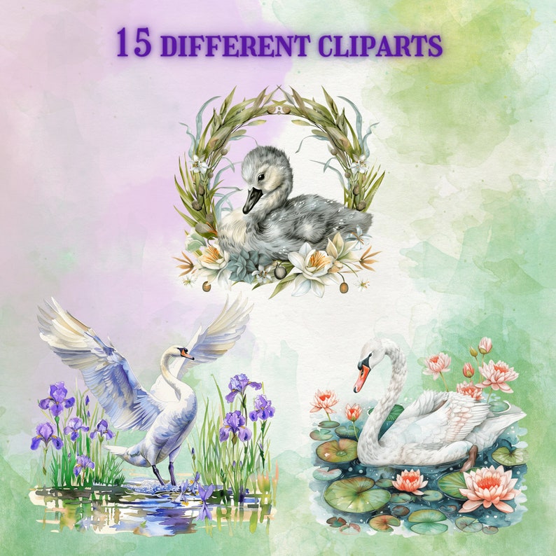Watercolor Swan Clipart Set // Cute Swan Digital Download // Printable ...