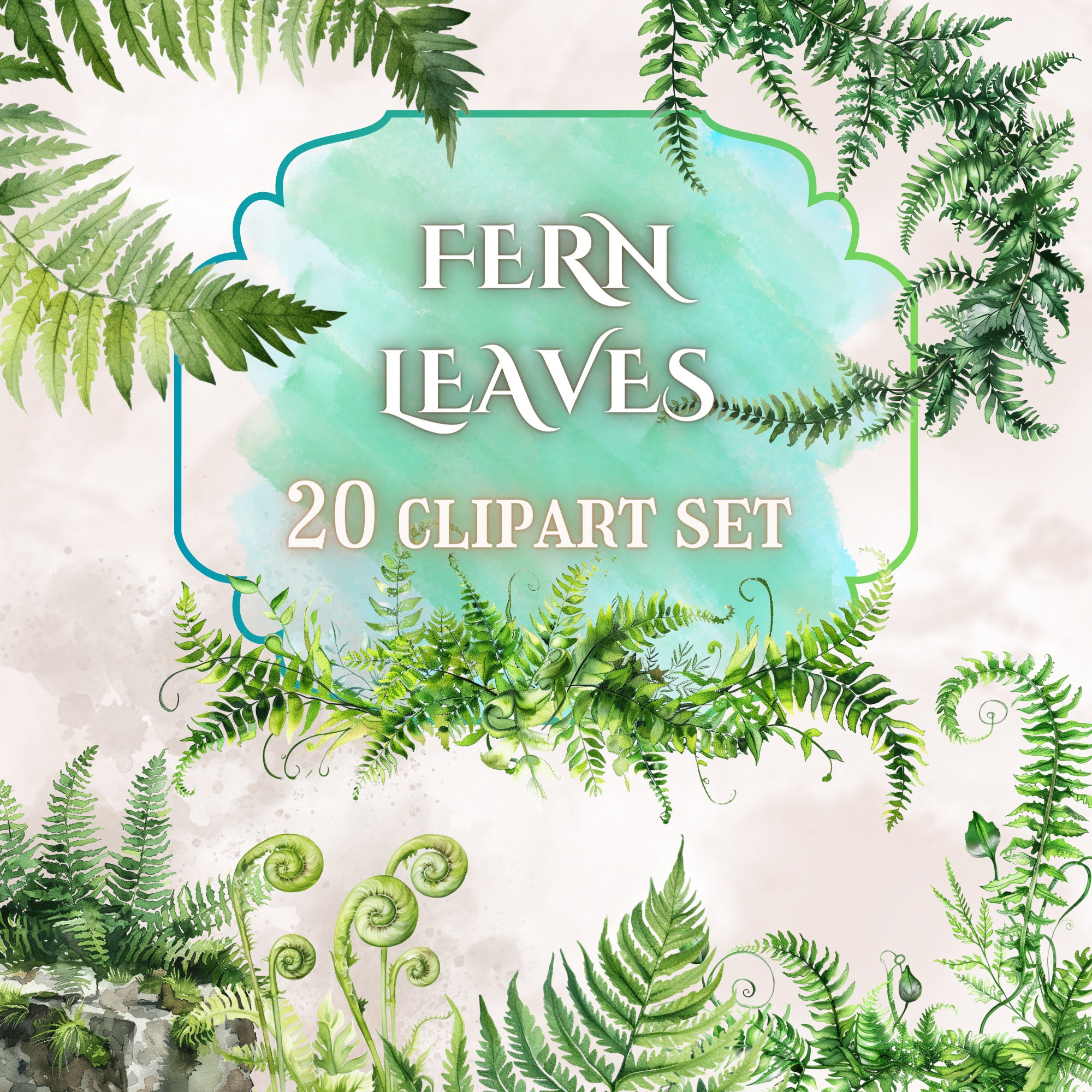 Watercolor Fern Clipart Bundle, Greenery Borders (digital Download) - Etsy