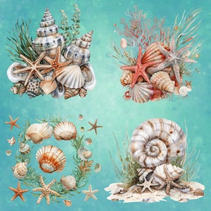 Watercolor Seashell Clipart Set, Marine PNG Graphics (commercial Use ...