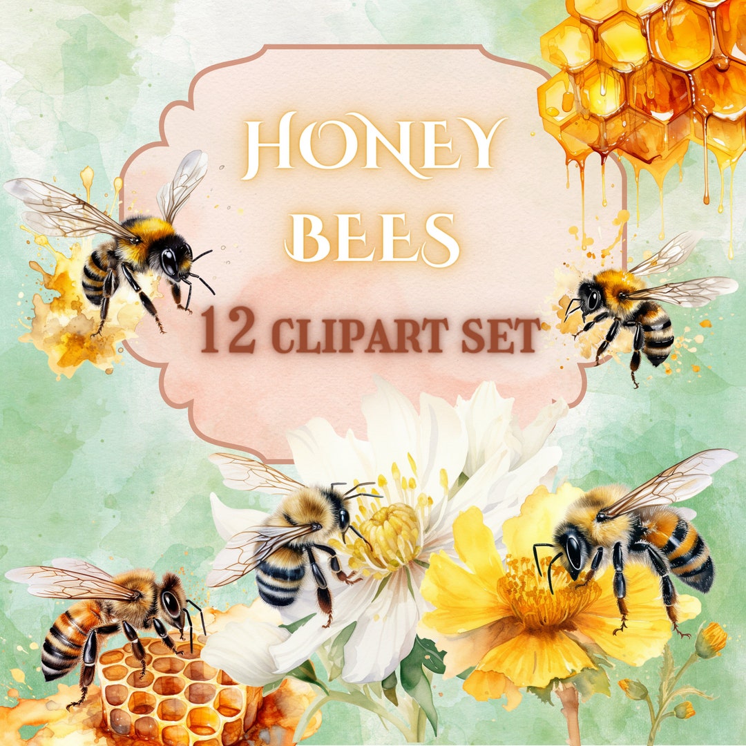 Honeybee Clipart Pack // Bee and Honeycomb Watercolor Cliparts ...
