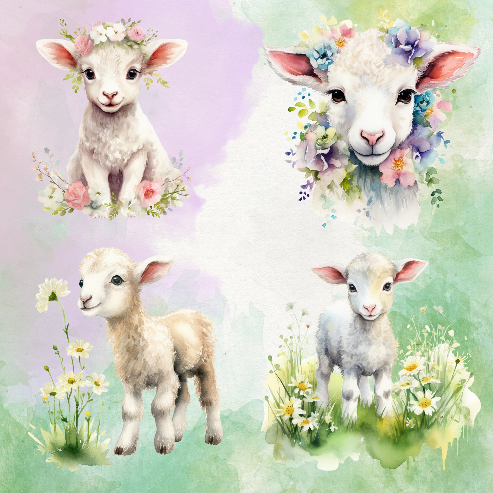 Watercolor Cute Lamb Clipart Set // Easter Lambs Clipart // Baby Sheep ...