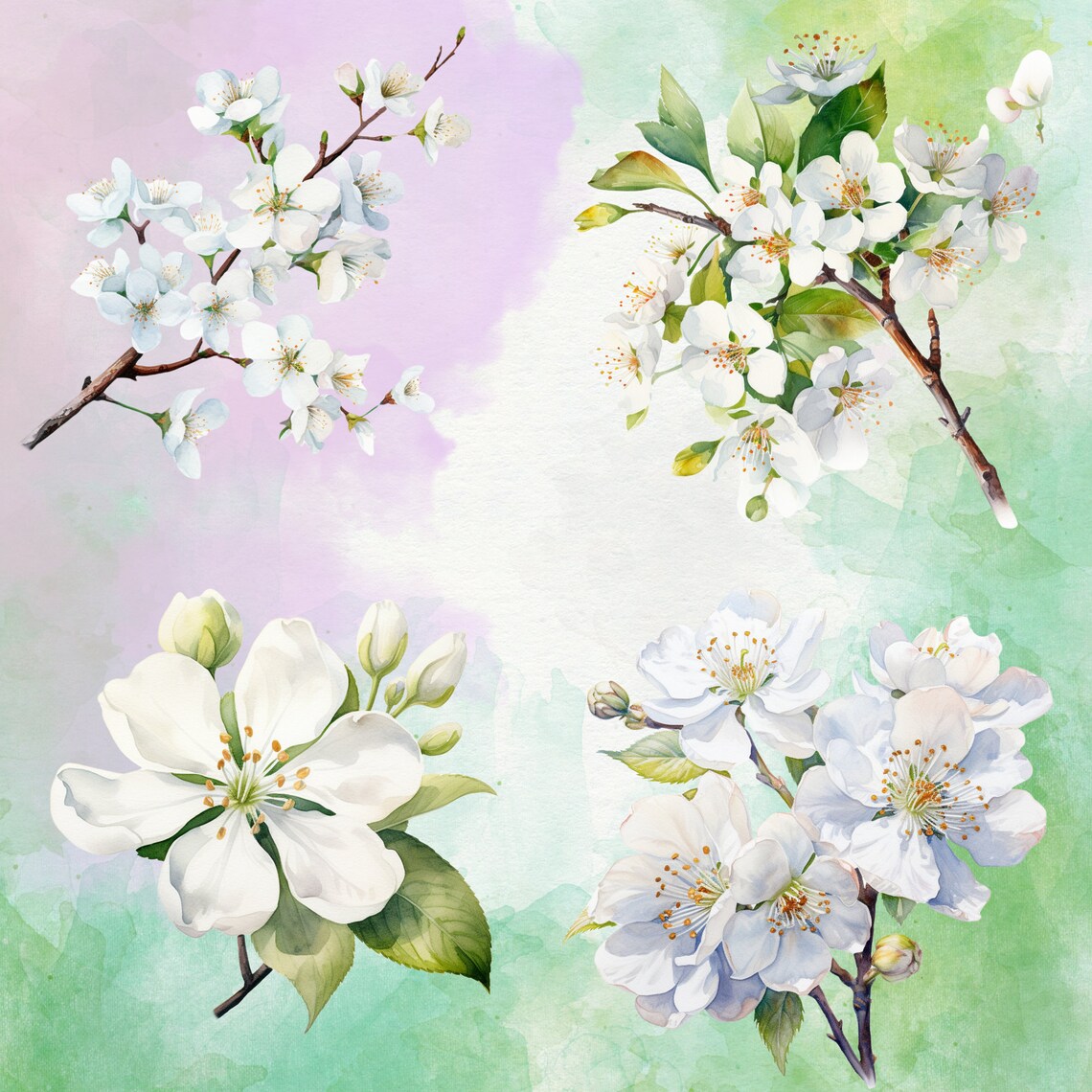 Blooming Branches Spring Clipart // Spring Blossom Floral Clipart ...