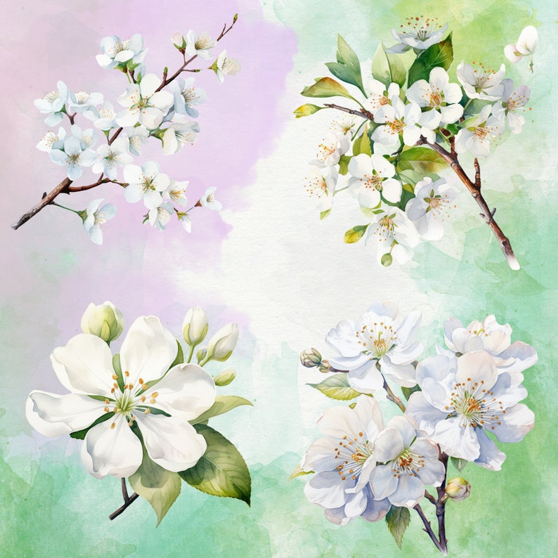 Blooming Branches Spring Clipart // Spring Blossom Floral Clipart ...