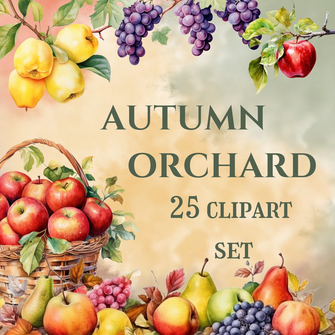 Autumn Orchard Clipart Set // Autumn Fruit Cliparts // Autumn - Etsy
