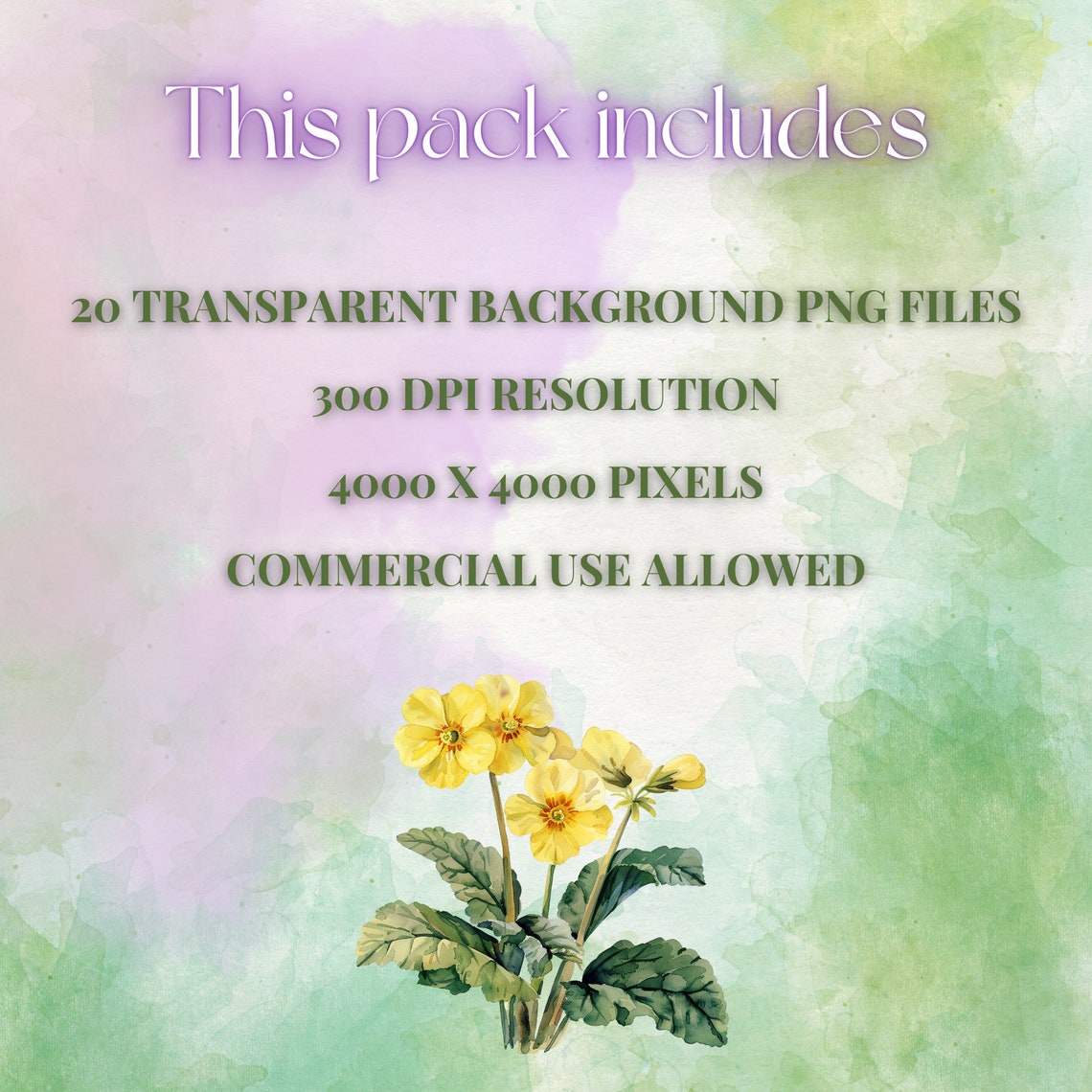 Spring Wildflower Clipart Set // Watercolor Flower Transparent Pngs ...