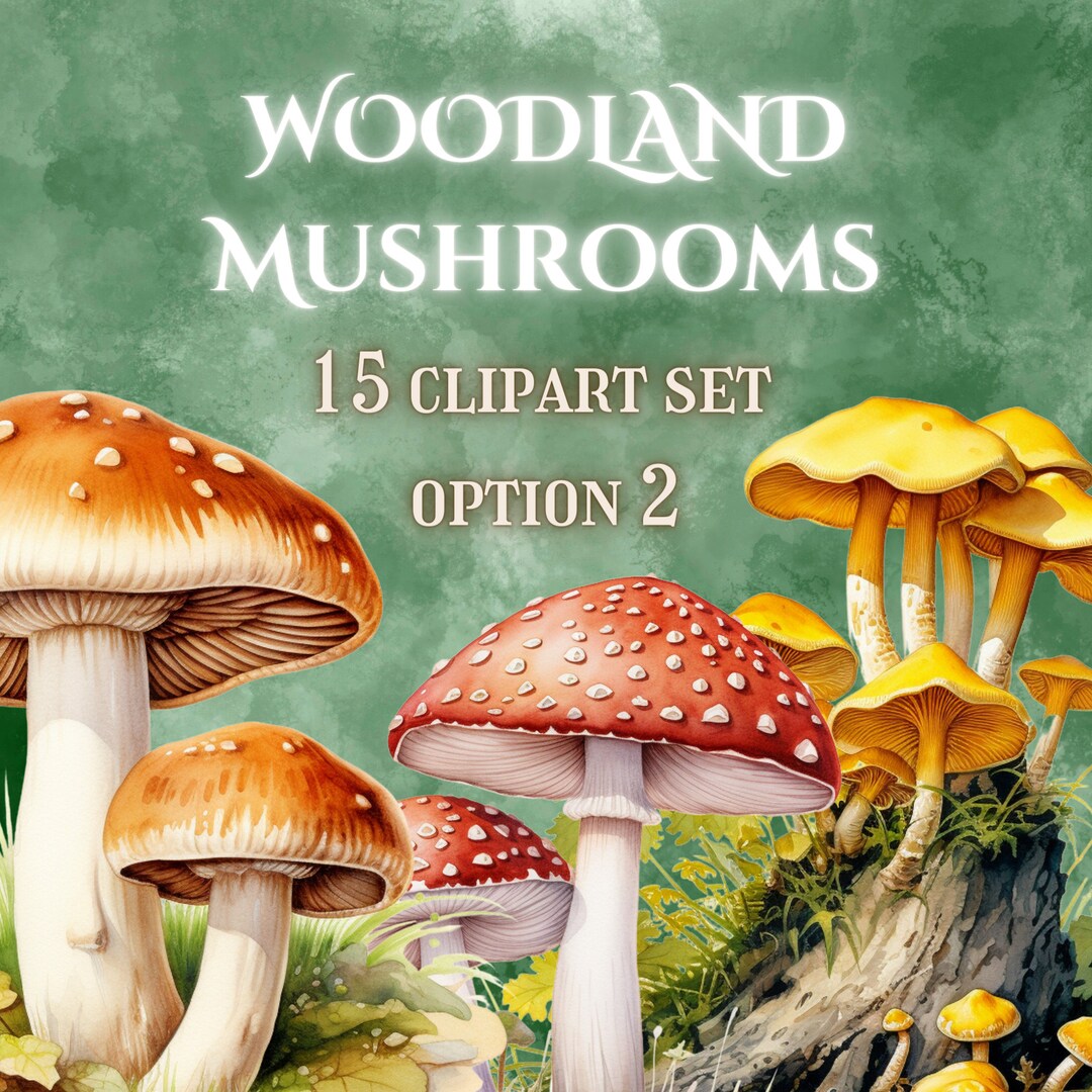 Watercolor Mushroom Clipart Set // - Etsy