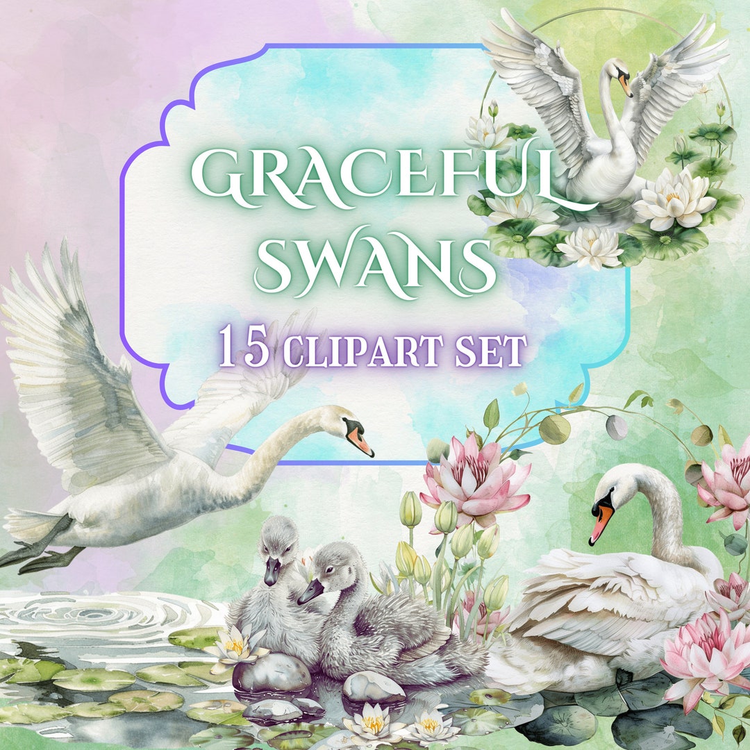 Watercolor Swan Clipart Set // Cute Swan Digital Download // Printable ...