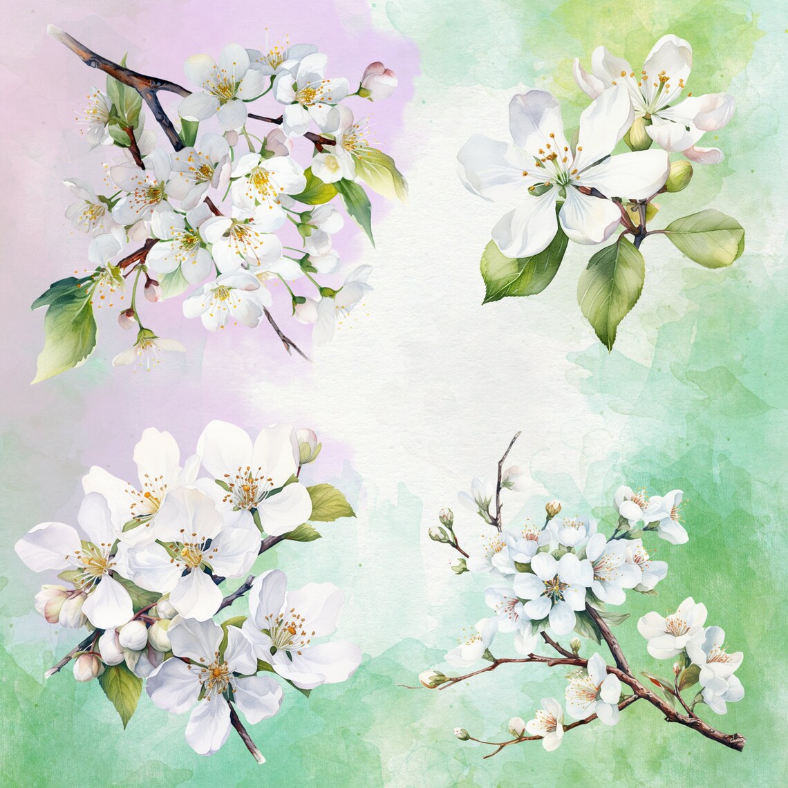 Blooming Branches Spring Clipart // Spring Blossom Floral Clipart ...