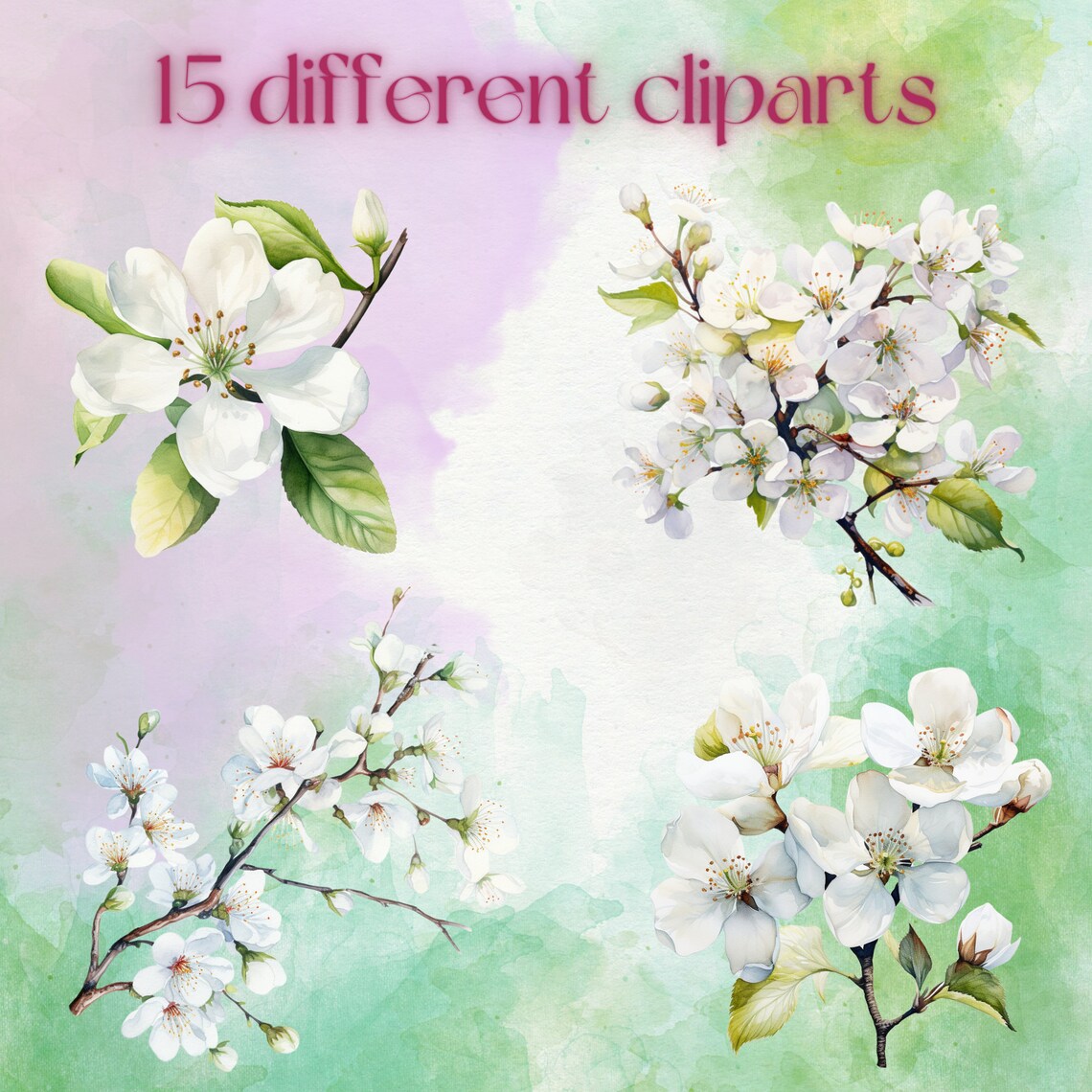 Blooming Branches Spring Clipart // Spring Blossom Floral Clipart ...