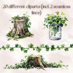 Watercolor Ivy Clipart Set, Greenery Frames & Borders (PNG, JPG) - Etsy