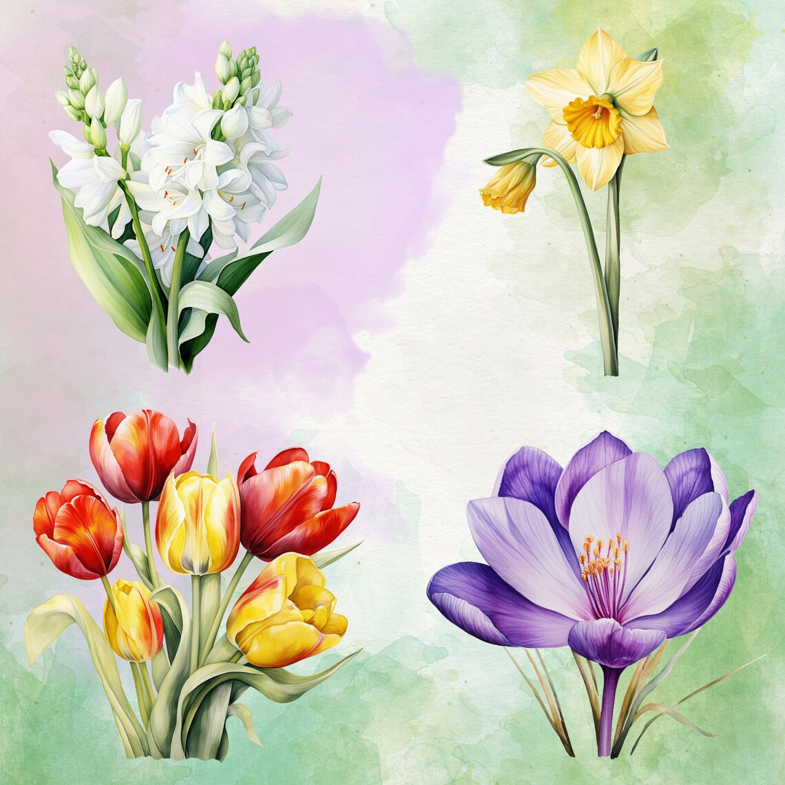 Watercolor Floral Clipart Set // Spring Flowers Clipart Bundle ...