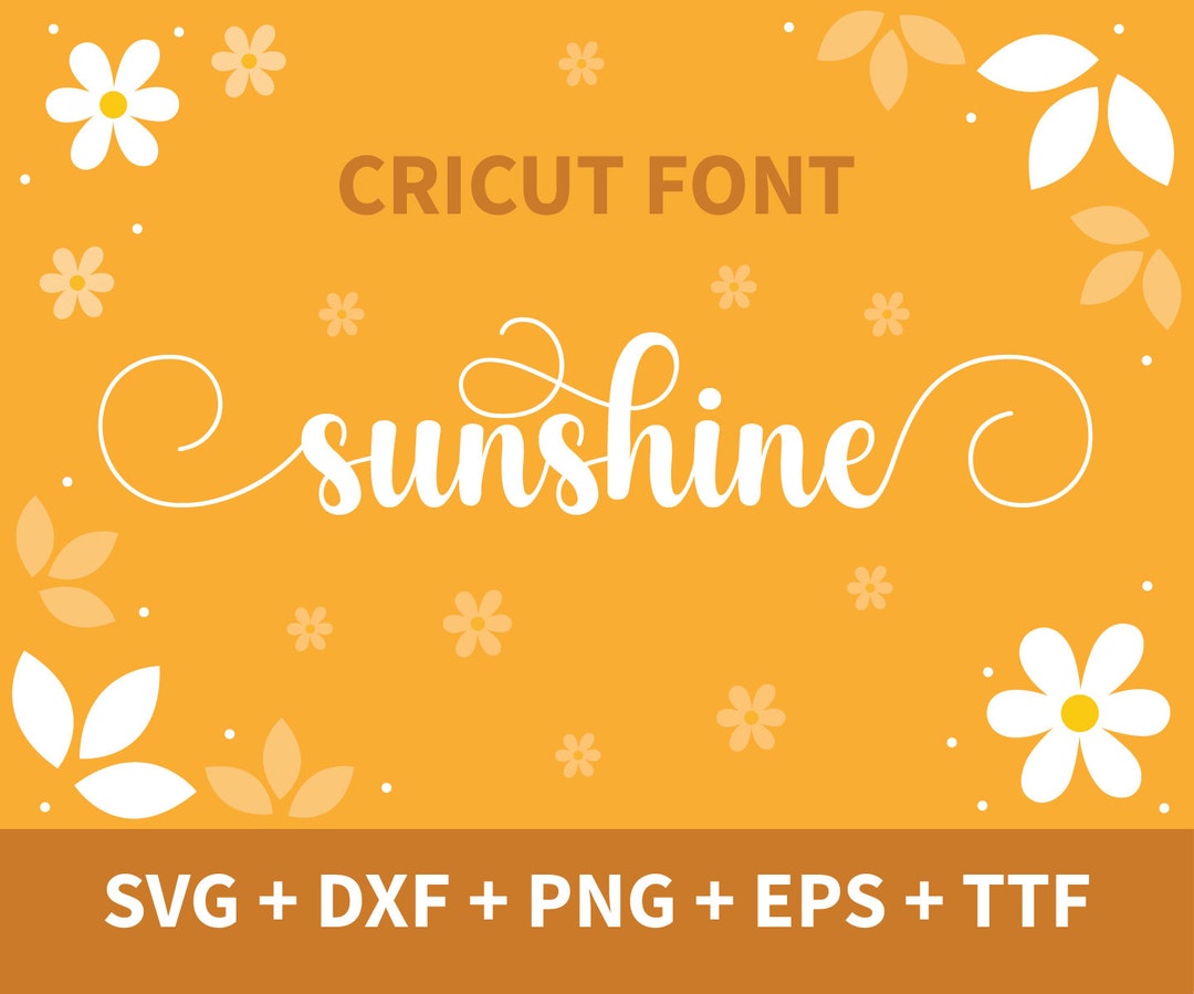 Calligraphy Font, Cricut Font, Procreate Font, Cursive Font, Swirl Font ...