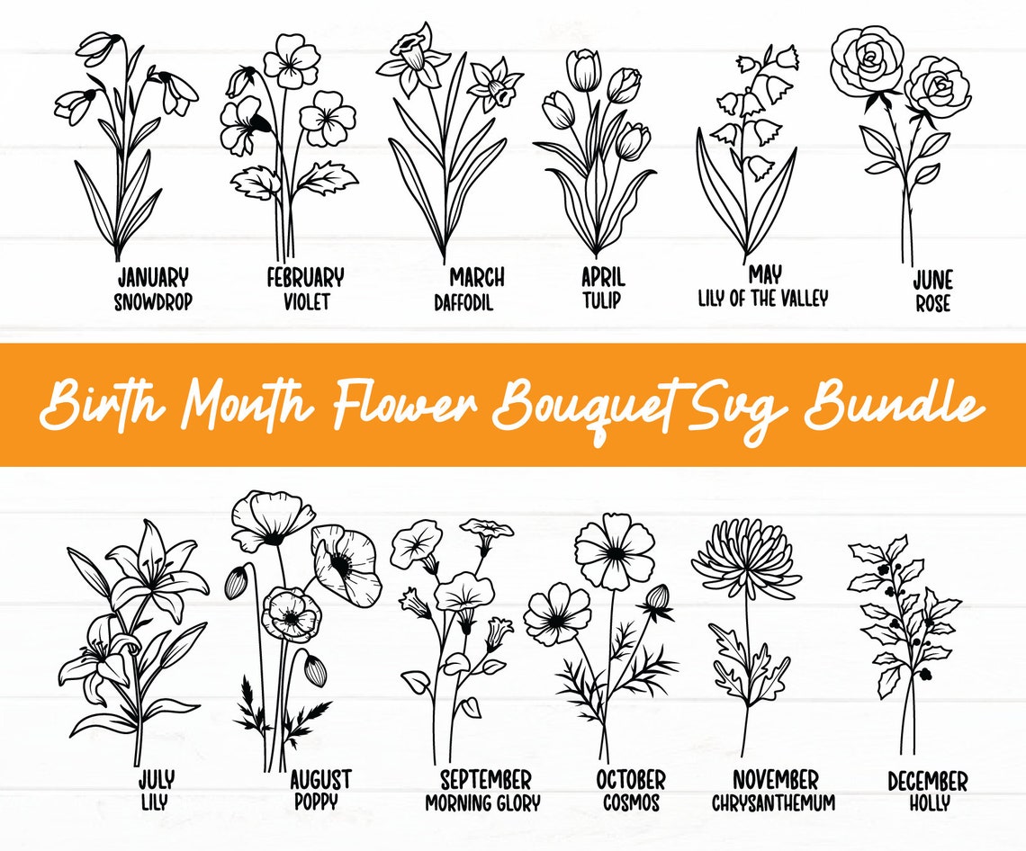 Birth Month Svg Bundle, Floral Month Svg Bundle, Birth Flower Svg ...