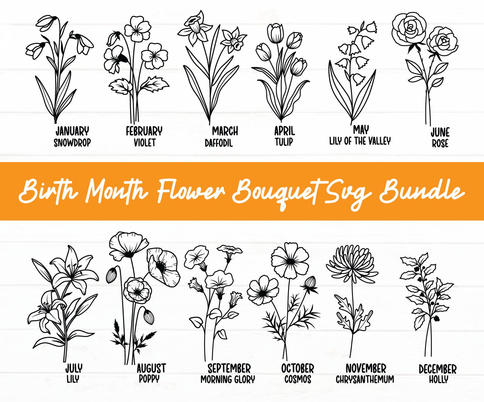 Birth Month Svg Bundle, Floral Month Svg Bundle, Birth Flower Svg ...