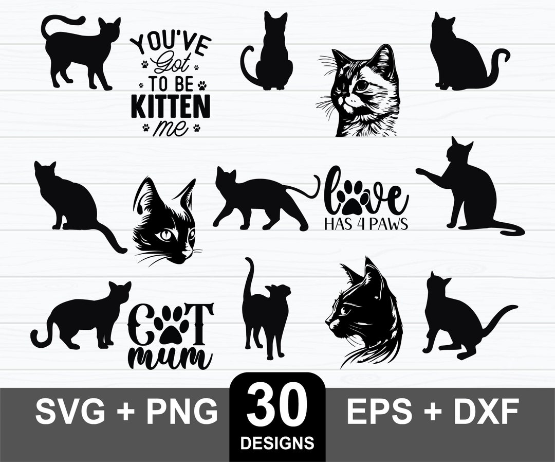 Cat Svg Bundle, Cat Svg Cut Files for Cricut Bundle, Kitten Svg, Cute ...