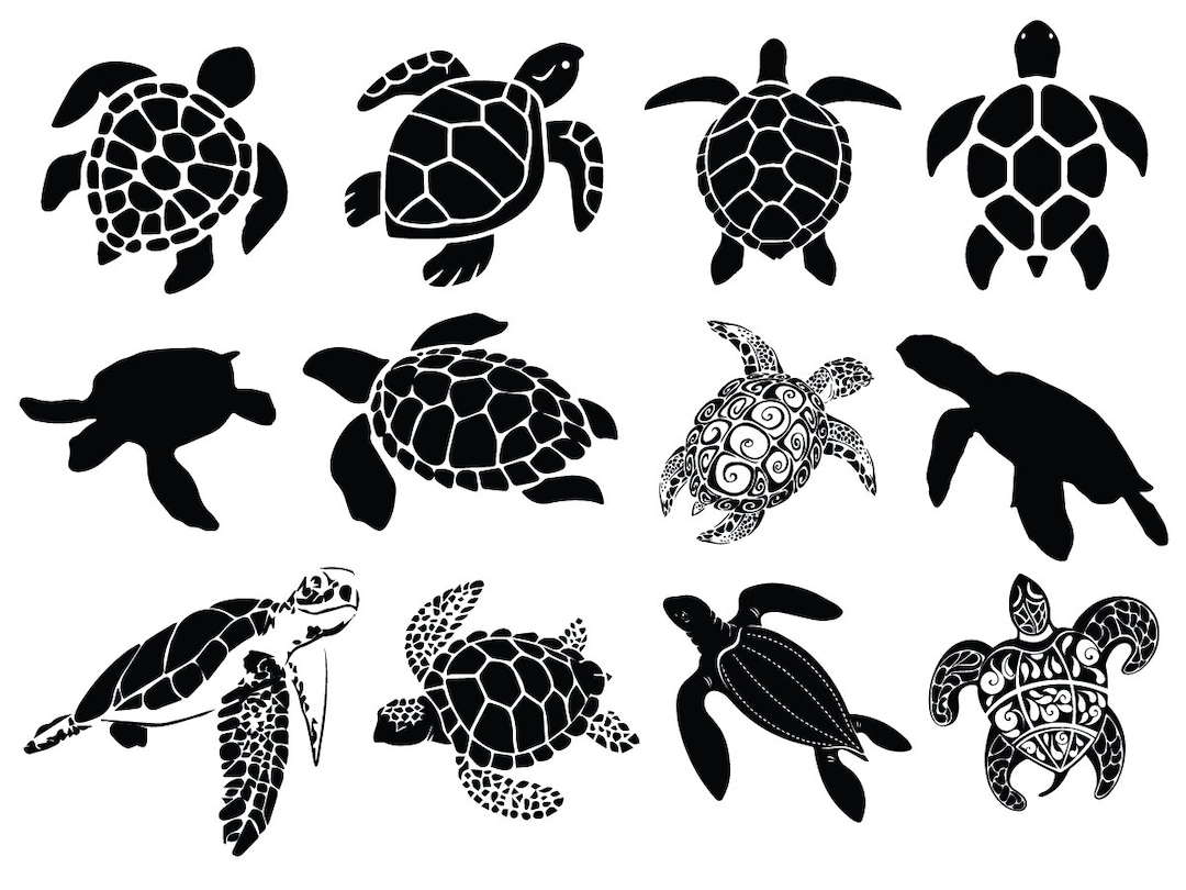 Sea Turtle Svg Bundle, Tortoise Svg, Sea Turtle Clipart, Turtle Cricut ...