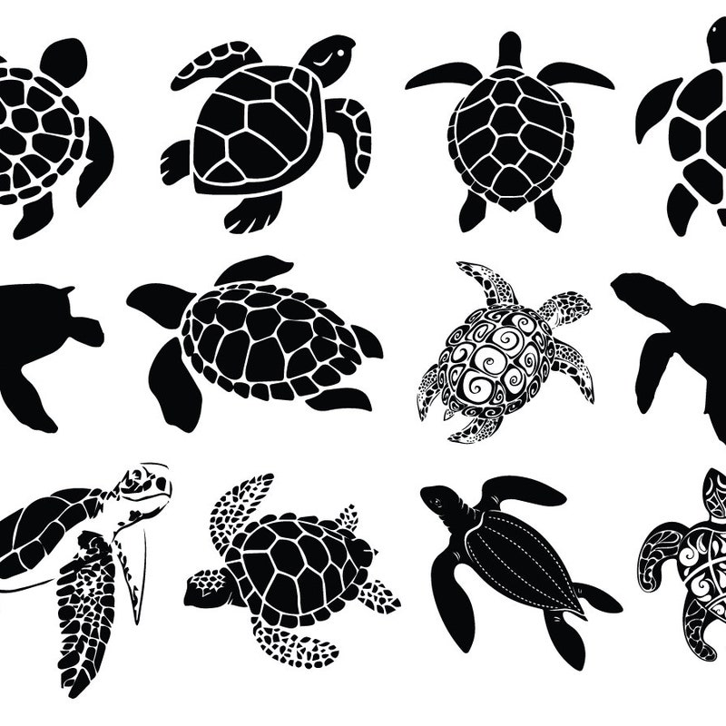 Turtle Svg - Etsy