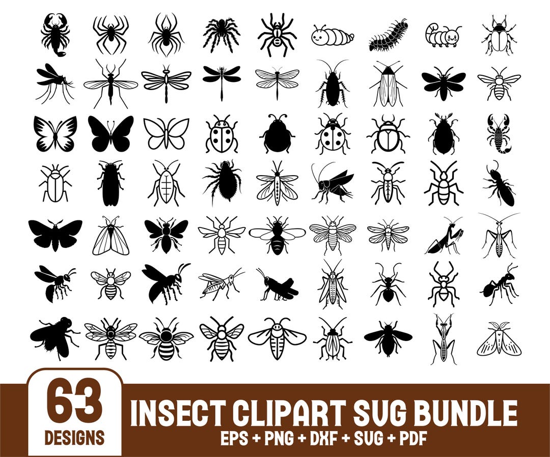 Insect Svg Bundle, Insect Svg, Insect Clipart Svg, Insect Silhouette ...