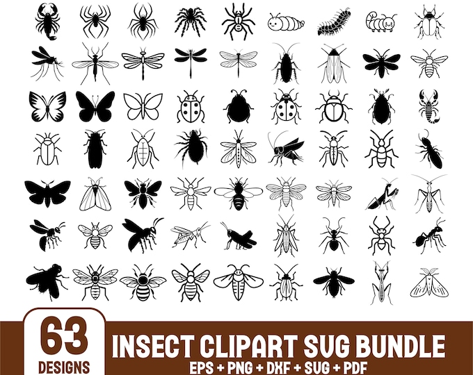 Bug SVG Bundle, Insect SVG Bundle, Bugs SVG, Butterfly Svg, Bee Svg ...