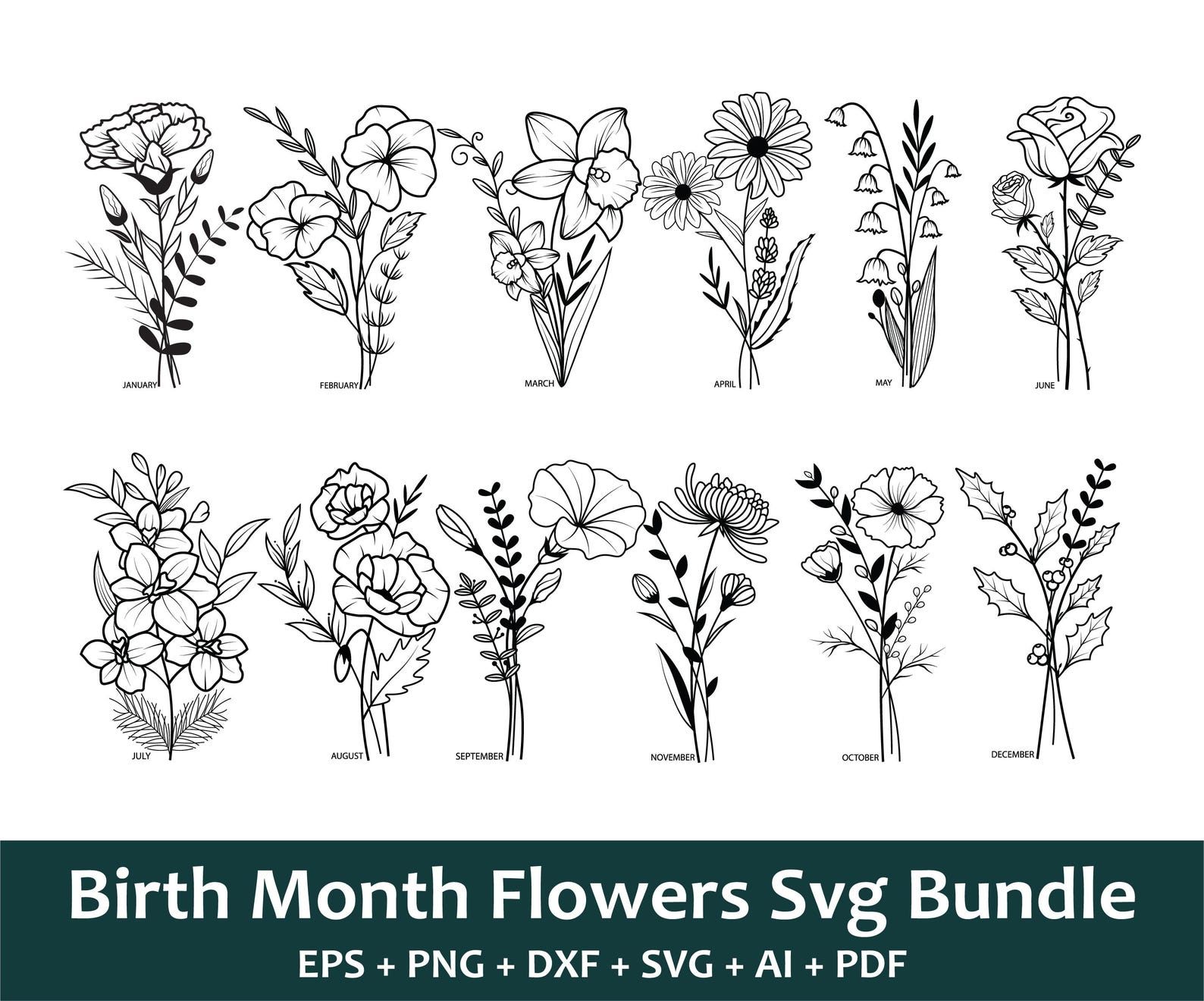 Birth Month Svg Bundle, Birthmonth Svg, Birth Month Flower Svg, Birth ...