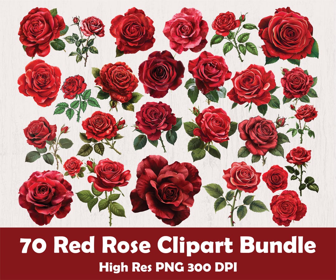 70 Red Rose Clipart Png Bundle, Red Rose Clipart, Watercolor Red Rose ...