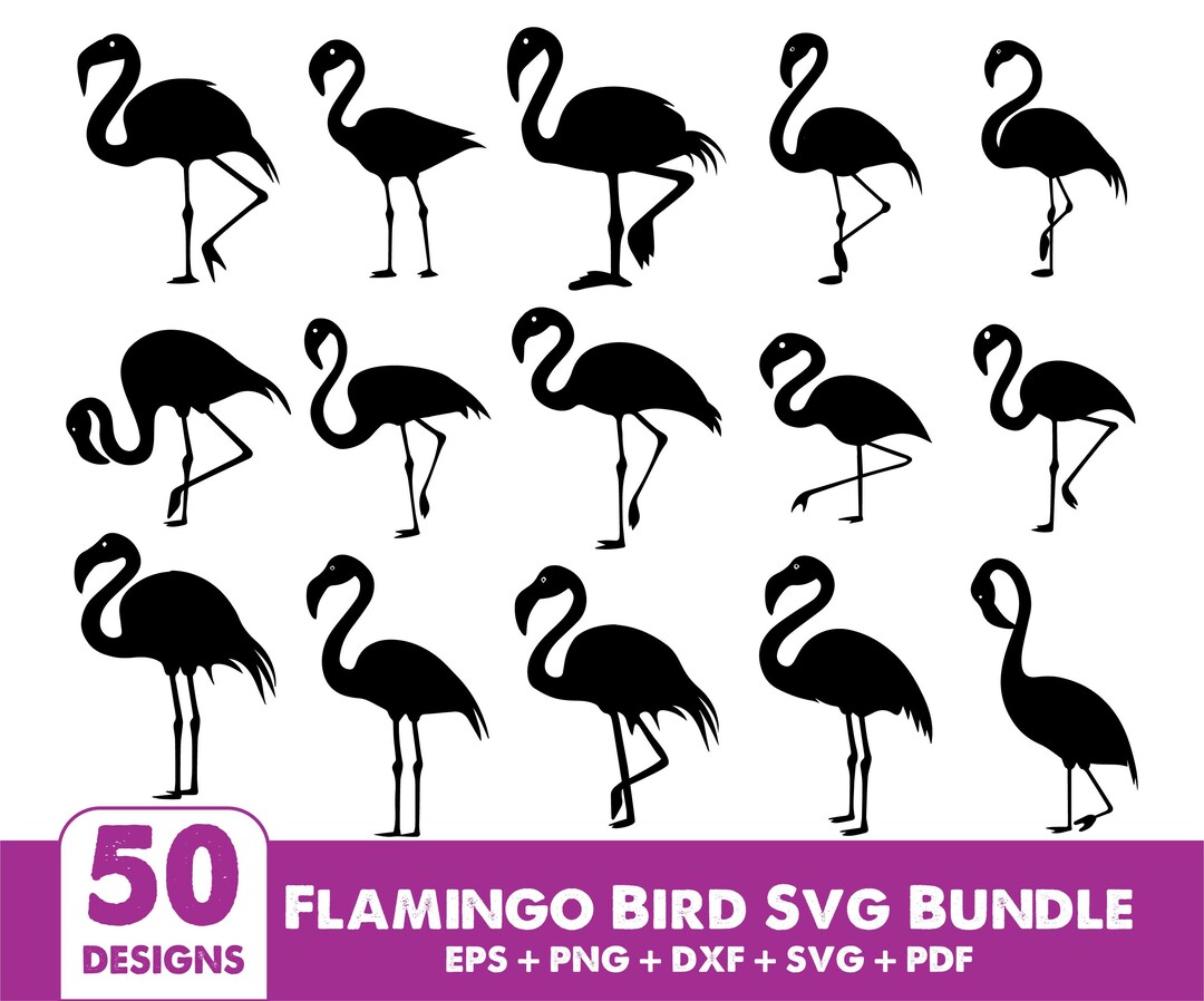 Flamingo Svg Bundle, Flamingo Bird Svg Bundle, Flamingo Silhouette ...
