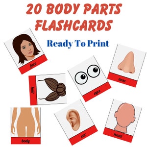 Body Parts Flashcards Educational Body Parts Flashcards for - Etsy