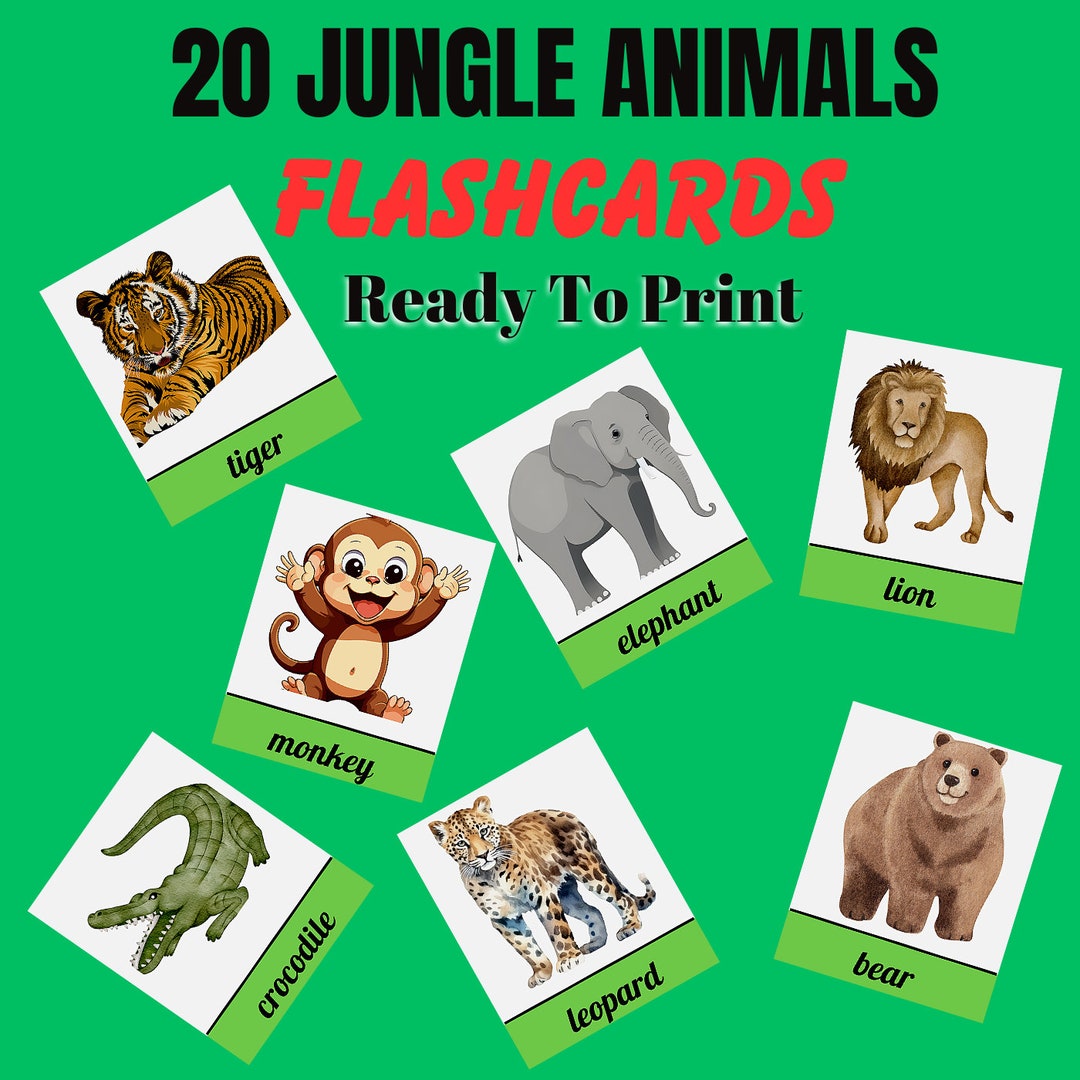 Educational Jugle Animals Flashcards for Kids, Jugle Animals Flashcards ...