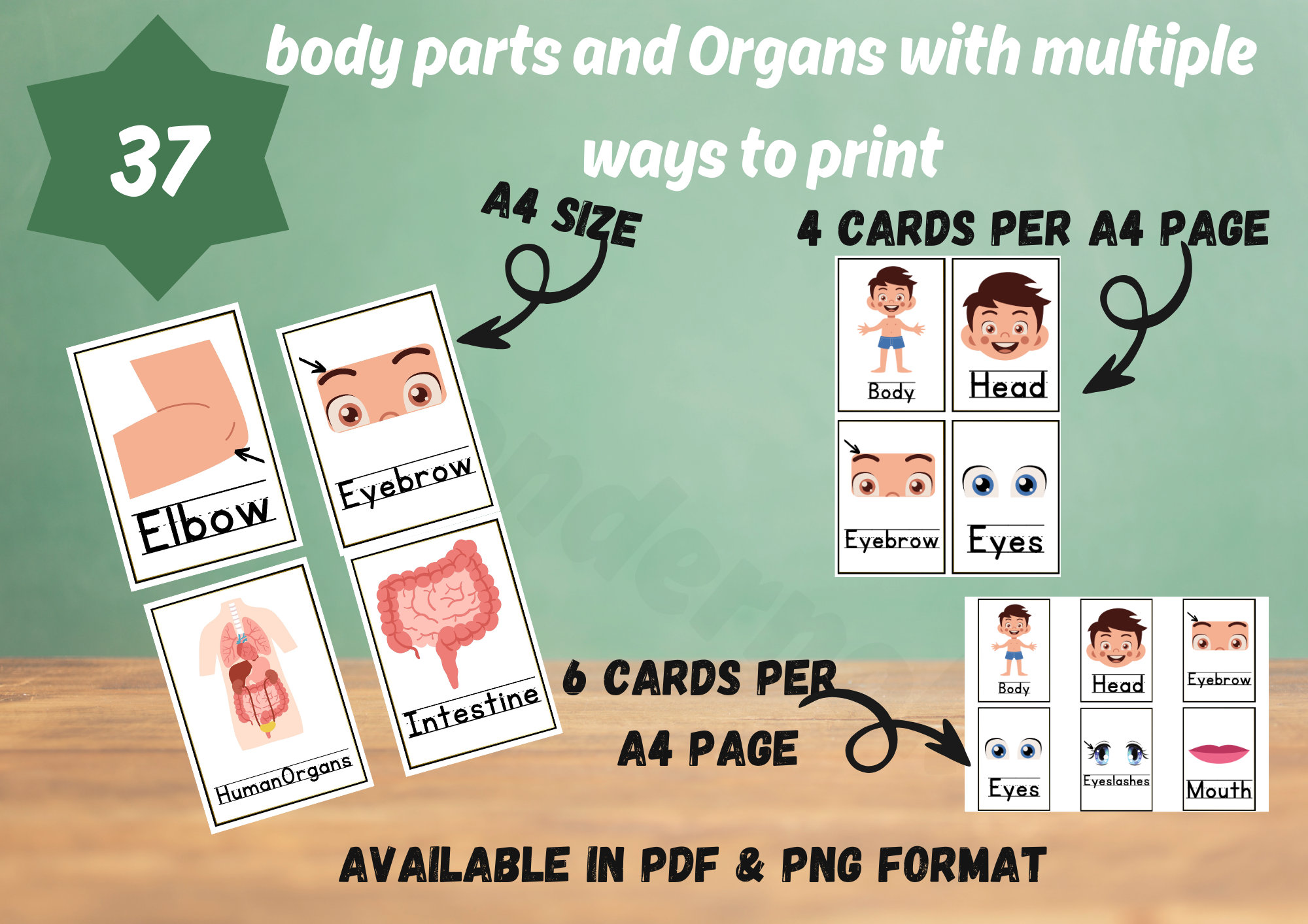 Body Parts and Organs Flashcards,elementary,kindergarden,homeschooling ...