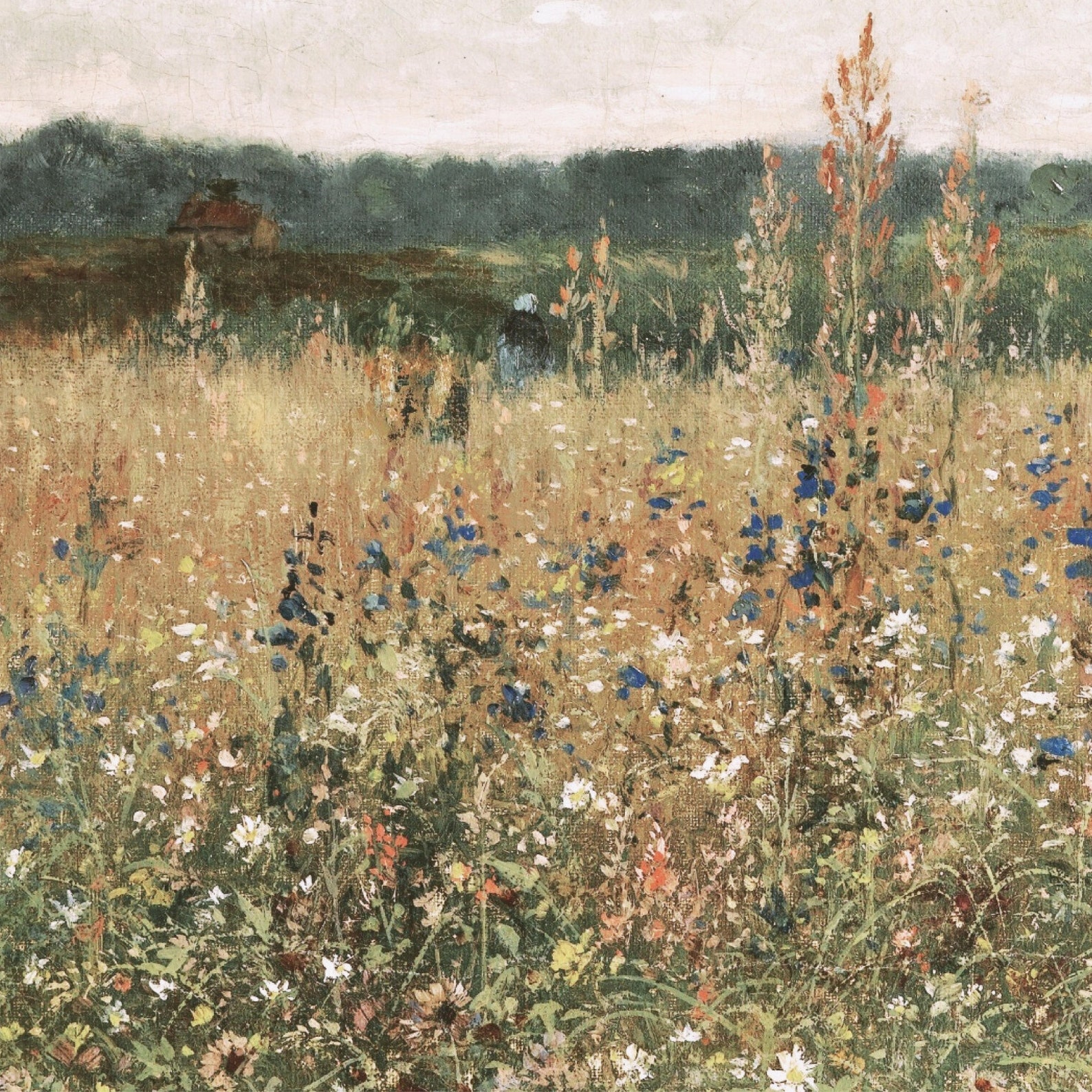 Consider the Lilies of the Field | KJV | Matthew 6:28 | Christian Home ...