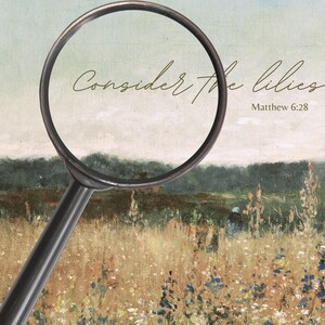 Consider the Lilies of the Field | KJV | Matthew 6:28 | Christian Home ...